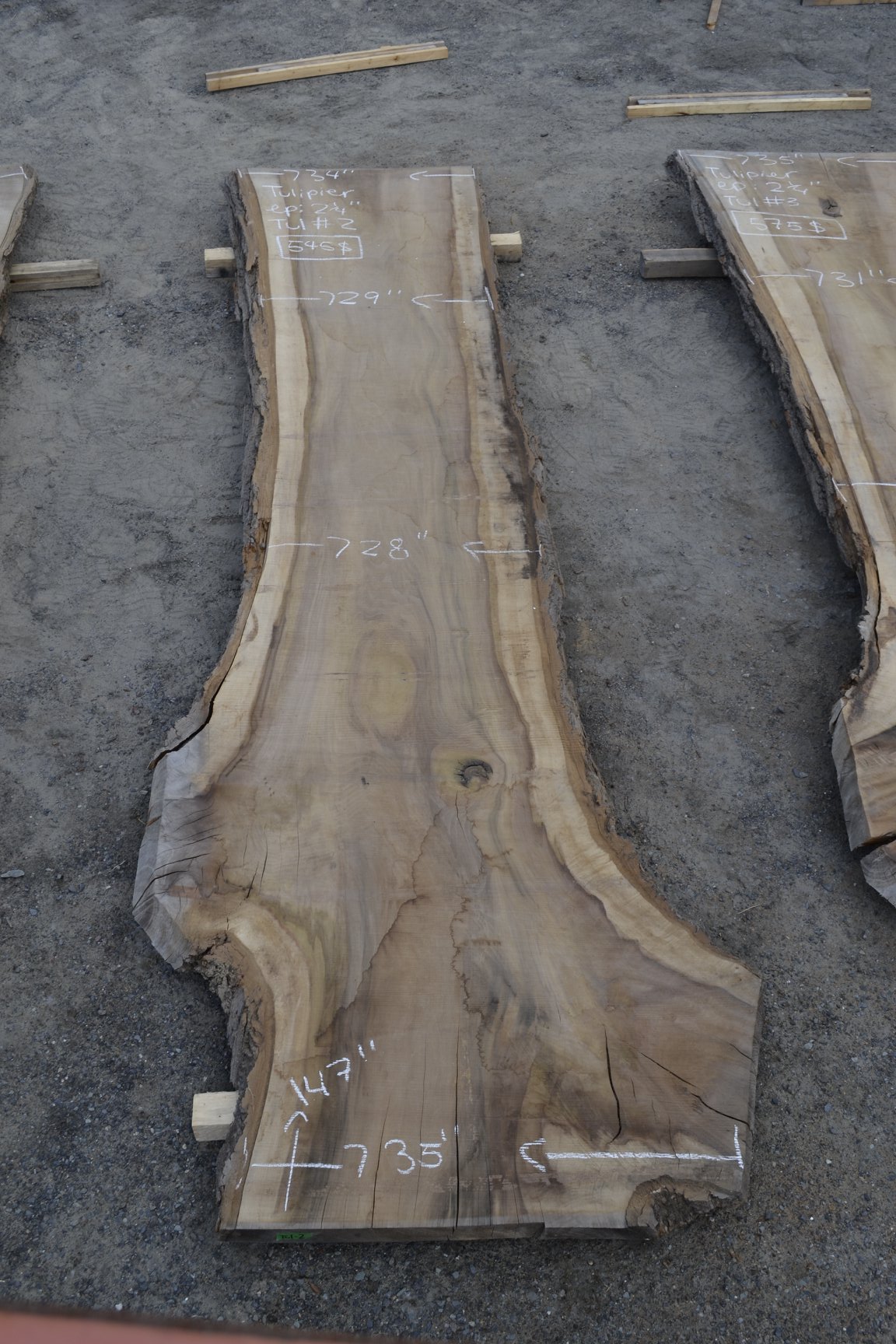 Tulip Poplar slabs width ranging from 25'' to 30'' – can-am logs & lumber