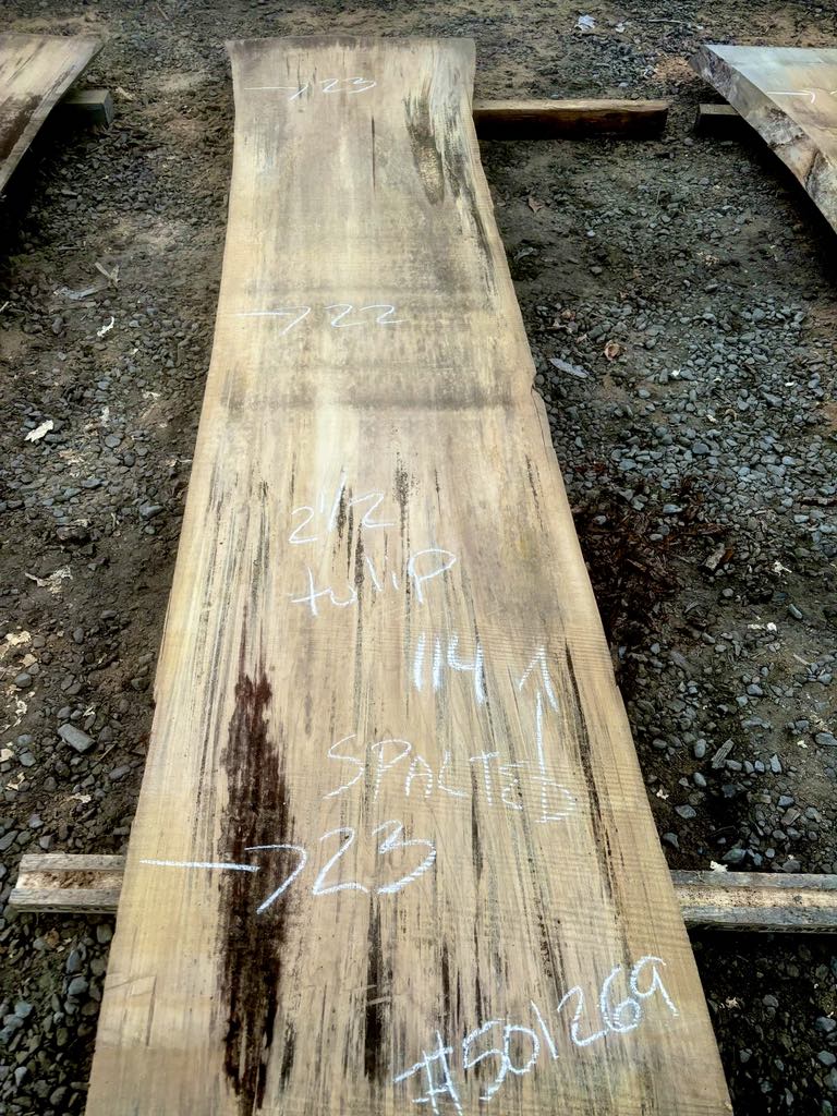 Tulip Poplar slabs ranging from 20'' wide to 25'' – can-am logs & lumber