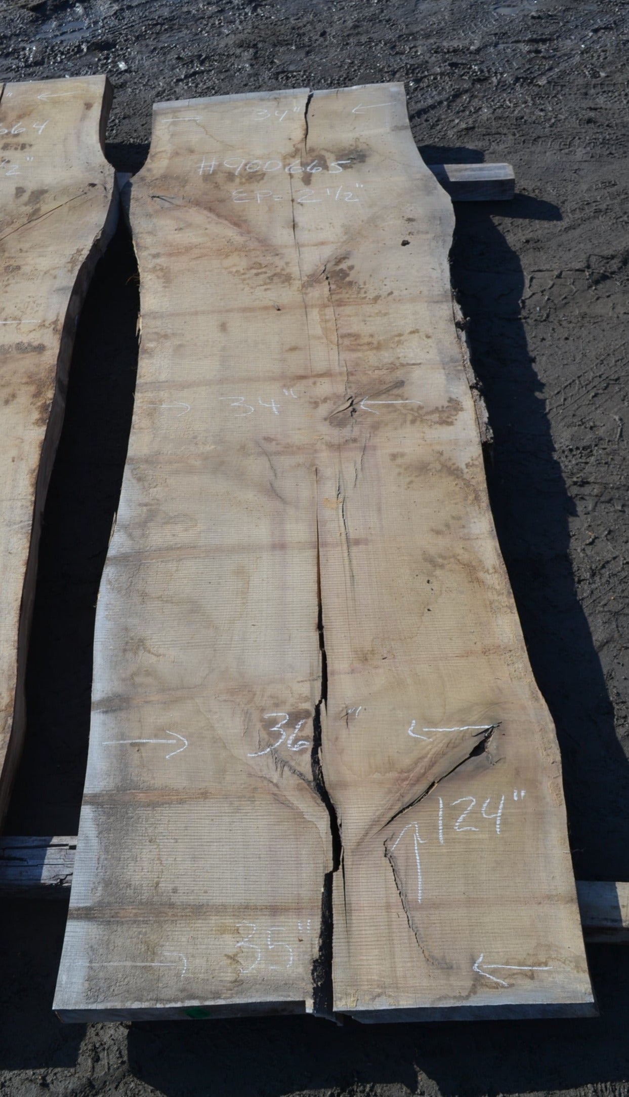 Kiln dried Tulip Slab (#900665) – can-am logs & lumber